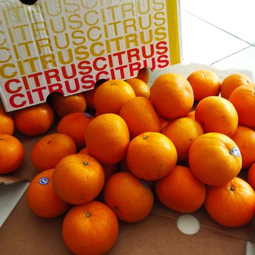 Jual Jeruk mandarin honey murcot import /dus - Jakarta Barat - kios ...