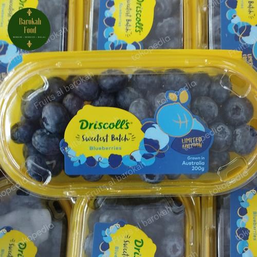 Jual Bluberi Driscol Australia limited edition super jumbo/ 200 gram ...