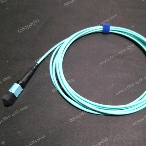 Jual patchcord mpo to mpo 12 core om4 female polarity type B 2 meter ...