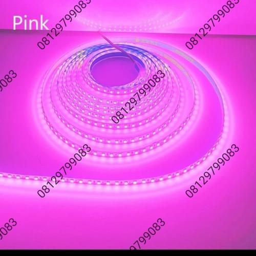 Jual led strip light 12v 2835 120D 120L 120 led 5m flex PINK MERAH ...