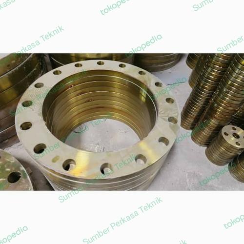 Jual Flange Besi JIS 10K ( Flange Carbon Steel JIS 10K 12"inch / DN 300 ...