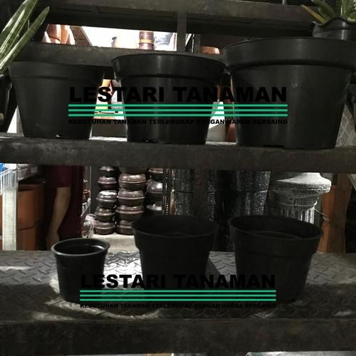 Jual Pot Bunga Plastik Hitam Grace 20 - Kota Tangerang - Lestari ...