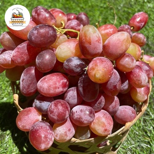 Jual Anggur crimson seedles manis / anggur merah manis tanpa biji 1kg ...