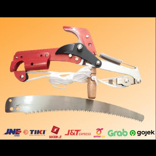 Jual Potong Ranting Tinggi / Gunting Rambutan / Alat Potong Dahan ...