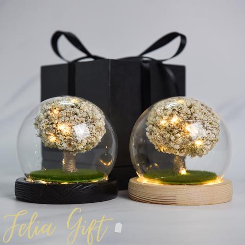 Jual Dome Edelweiss Tree - Dome Bulat Bunga Edelweis - Original, Tanpa ...