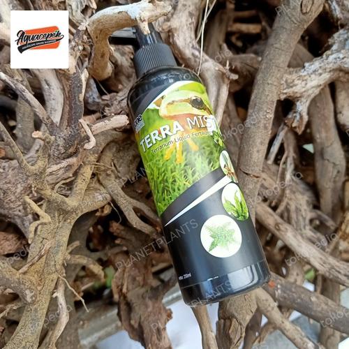 Jual TERRA MIST TERRARIUM FERTILIZER SPRAY TERRARIUM JUNGLE PLANT ...