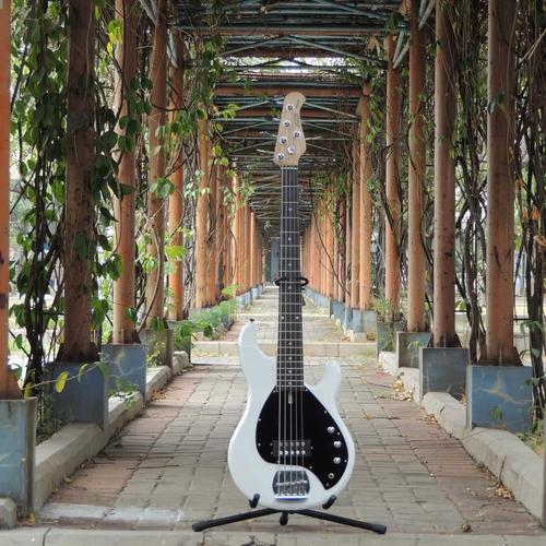 Jual Bass musicman String Ray 5 senar custom - Putih, hanya kardus ...