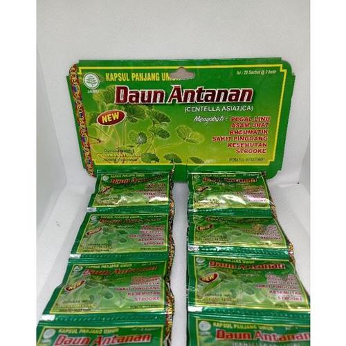 Jual Kapsul Daun Antanan Original Herbal Berkhasiat Super 100% - Kab ...