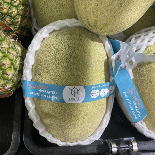 Jual Buah Melon Hamiqua Laguna Jumbo 2,5 Kg - Jakarta Barat ...
