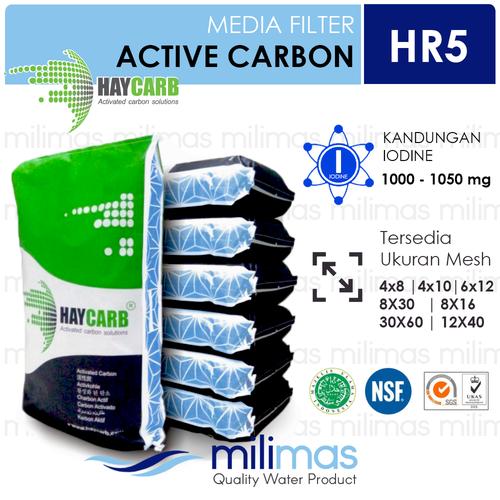Jual HAYCARB - Karbon Aktif Activated Carbon HR5 Iodine 1050 - 8x16 ...