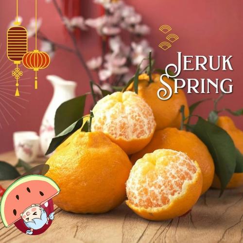 Jual JERUK SPRING SUPER - hampers - Jakarta Barat - kios buah segar ...