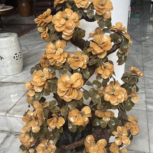 Jual Pohon bunga giok china asli ukuran besar 120cm sepasang - Jakarta ...