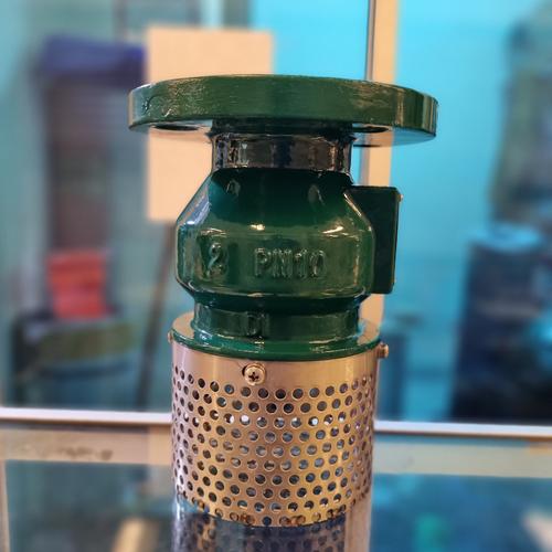 Jual Foot klep valve 2" inch Dn 50 jis 10k cast iron GALA - Jakarta ...