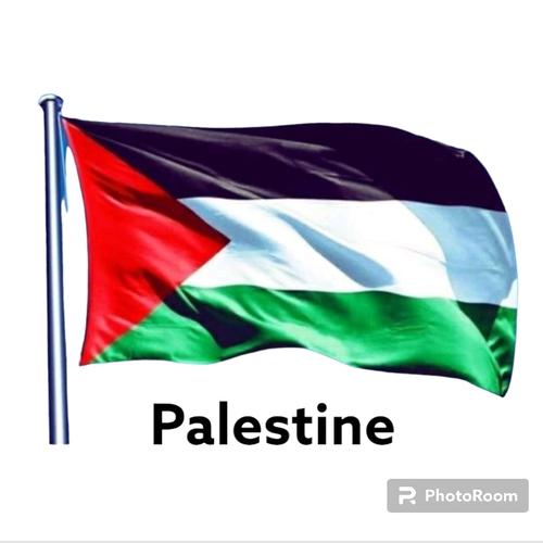 Jual Bendera Palestine 120 x 180 - Jakarta Utara - segoro mas | Tokopedia