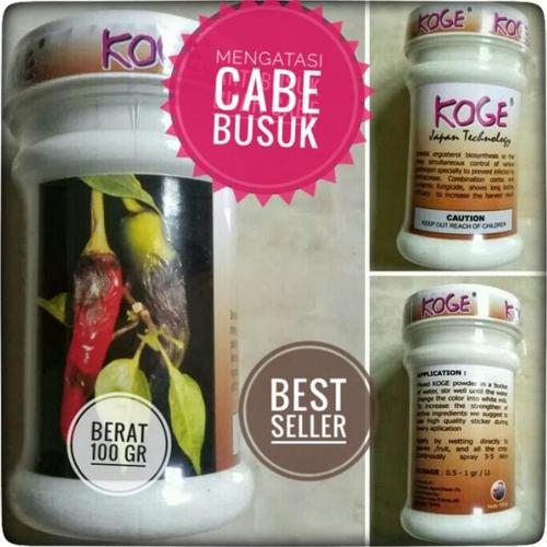 Jual Obat Pertanian cabe,Fungisida cabai, Obat cabe busuk, Pupuk ...