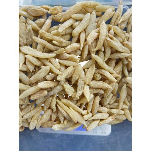 Jual Mai Dong / Mai Men Dong / Ma Tung / Mak tung 麦冬 Tuber Ophiopogonis ...