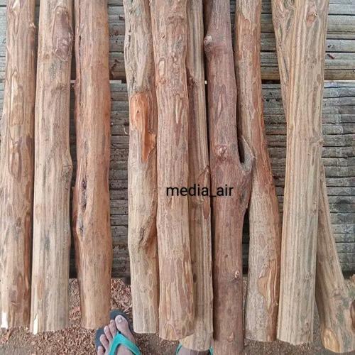 Jual batang kayu Rasamala lurus 50cm batang dekorasi artificial ...