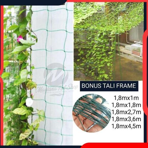 Jual XY Jaring Tanaman Rambat/Jaring Tanaman Buah/Jaring Tanaman - 1 ...