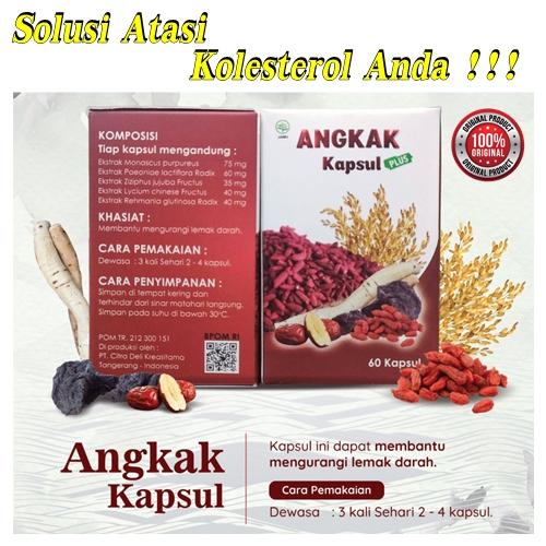 Jual Obat herbal cina kolesterol mengurangi lemak darah angkak kapsul ...