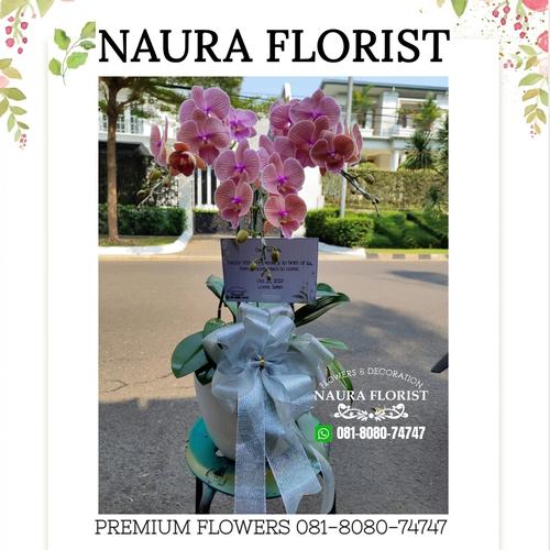 Jual Bunga anggrek/anggrek bulan/anggrek premium /rangkaian bunga meja ...