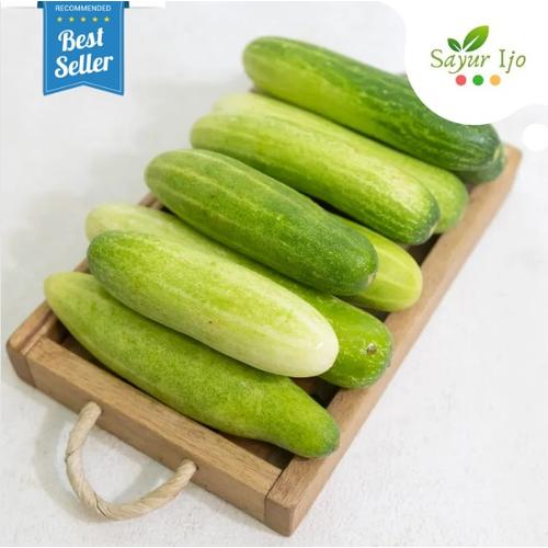 Promo Timun Lokal Besar 1 KG Fresh Cucumber Ketimun Sayur Hijau Segar ...