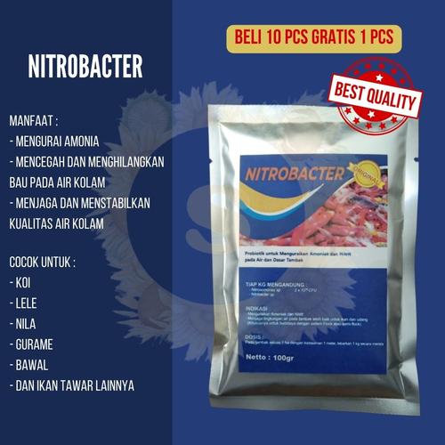 Jual Bakteri Starter Pengurai Amonia | Nitrobacter Nitrosomonas ...