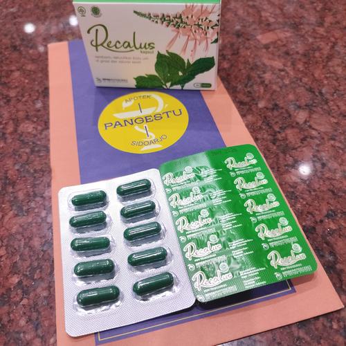 Jual Recalus 1 Strip 10 Kapsul / Batu Ginjal / Rekalus Ricalus Rikalus ...