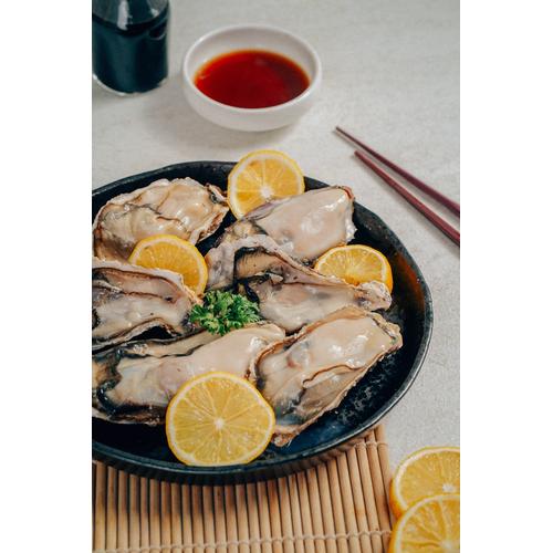 Jual Japan Murotsu / Sakoshi Oyster Kerang Tiram Jepang - Jakarta Barat ...