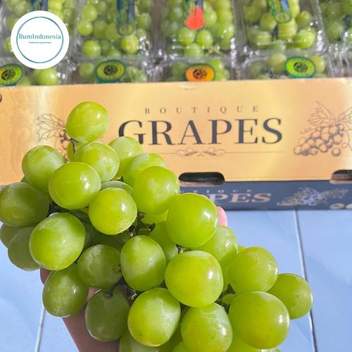 Jual Anggur Hijau Shine Muscat Fresh Import premium per pack 500 gram ...