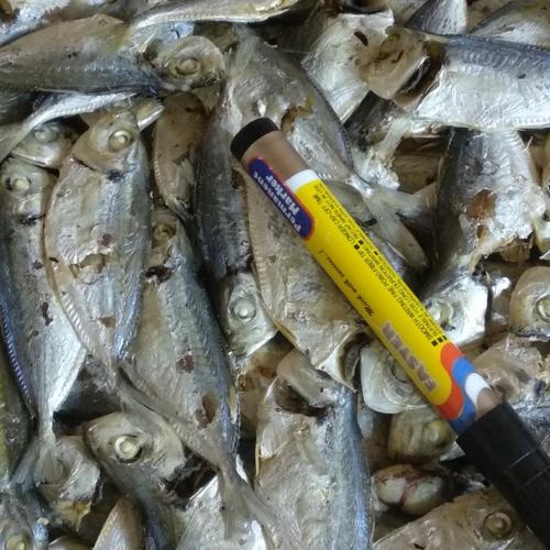 Jual rebus selar (harga per 500 gram) - Kota Medan - ikanasinhh | Tokopedia