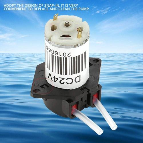 Jual Peristaltic Pump DC 12V 24 V Self-Priming Dosing Pump Mini Snap ...