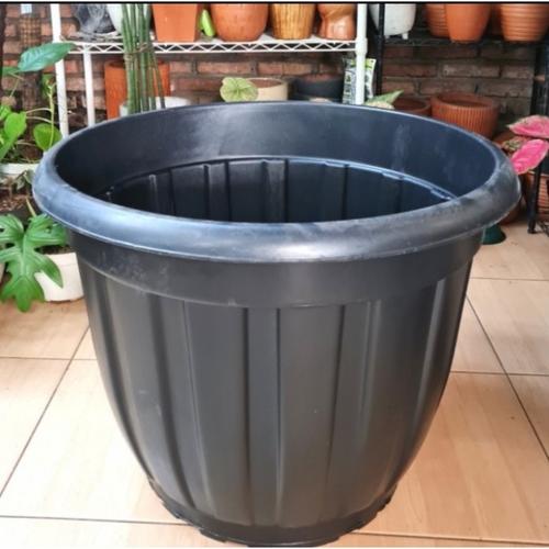 Jual Pot Tanaman Bunga 50 Jumbo Besar Pot Bunga Plastik Hitam Putih ...