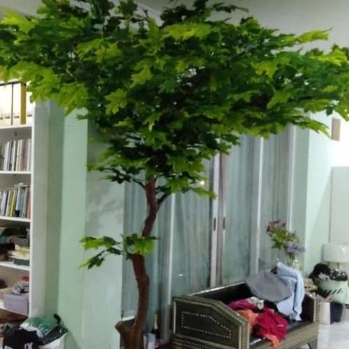 Jual Tanaman Hias Mapel Pohon Mapel Artificial Pohon Plastik Tinggi 3M ...