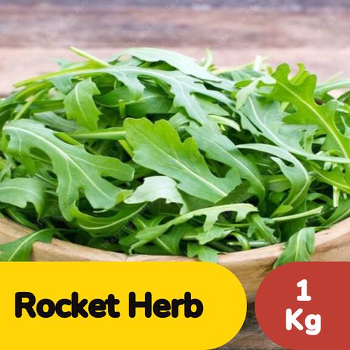 Jual Rucola Selada Arugula Rocket Roquette Herb 1 kg Sayur Segar - 500 ...