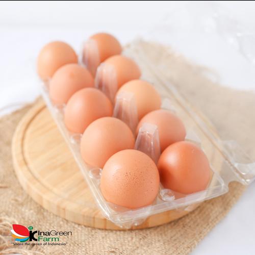 Promo Telur Ayam Negeri Fresh isi 10 Pcs - Kota Bandung - INAGREEN ...