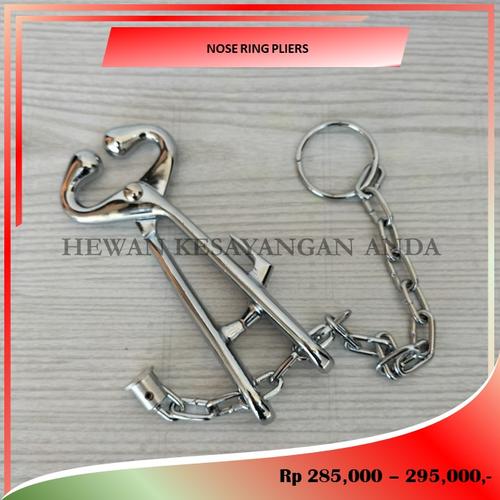 Jual Alat Tindik Hidung Bull Holder With Chain Sapi Kerbau Kuda dll ...