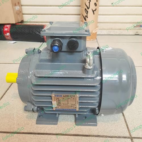 Jual Teco Dinamo 100 HP 75KW 3000 Rpm B3 2P Foot Mounted - Jakarta ...