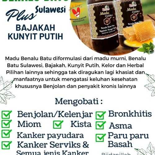 Jual Madu Kanker Benalu Batu Sulawesi / Madu Benalu Batu - Kab. Sleman ...
