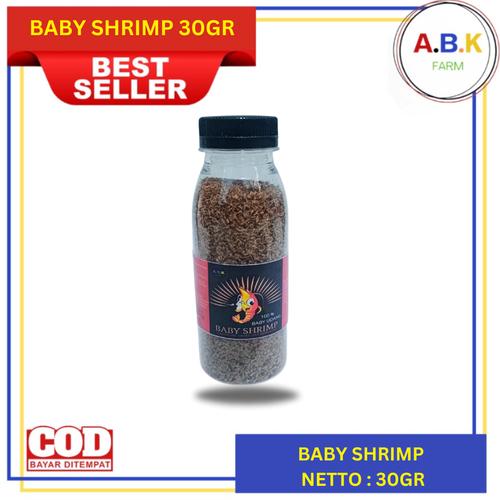 Jual Baby shrimp / mini shrimp / pakan cupang dan guppy 30 GRAM! - Kota ...