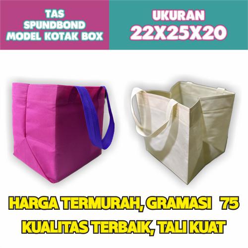 Jual Tas Model Kotak Box Spundbond Ukuran 22 x 25 x 20 Cm - Hijau T ...