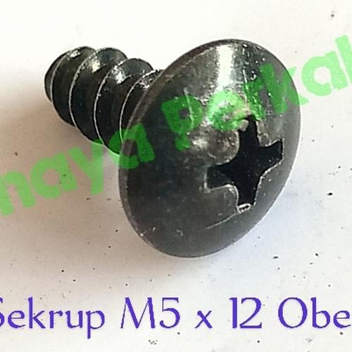 Jual Z Baut Sekrup Cacing JP M5 x 12 Obeng Plus Hitam Original ...