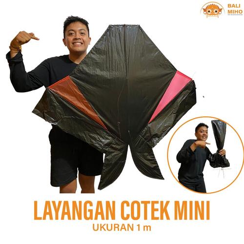 Jual Layangan Cotek Belolong Small - Layangan Cotek Knockdown ...