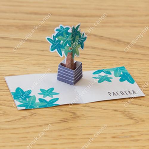 Jual DIY Papercraft Miniatur Buku Tropikal - Jakarta Timur ...