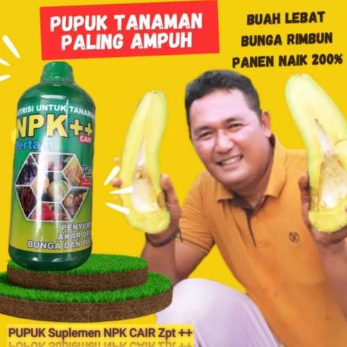 Jual [AMPUH] Pupuk Daun NPK Plus Suplemen Penyubur Akar Bunga Dan Daun - Kab. Bogor - Kardi ...