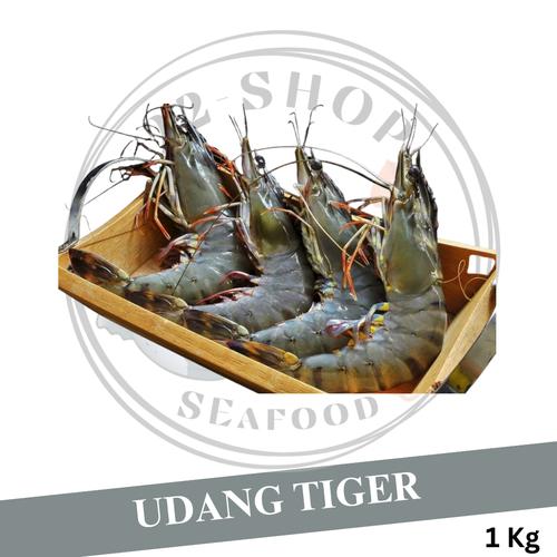 Jual Udang Tiger / Udang pancet / Black Tiger Prawn / Fresh Segar ...
