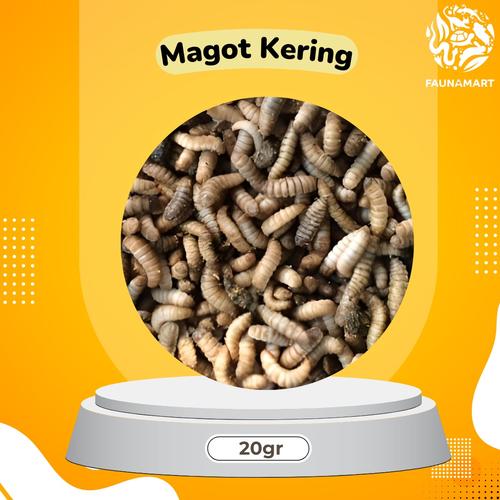 Jual Maggot BSF Kering Magot 20 gram - Jakarta Selatan - Fauna Mart_NEW ...