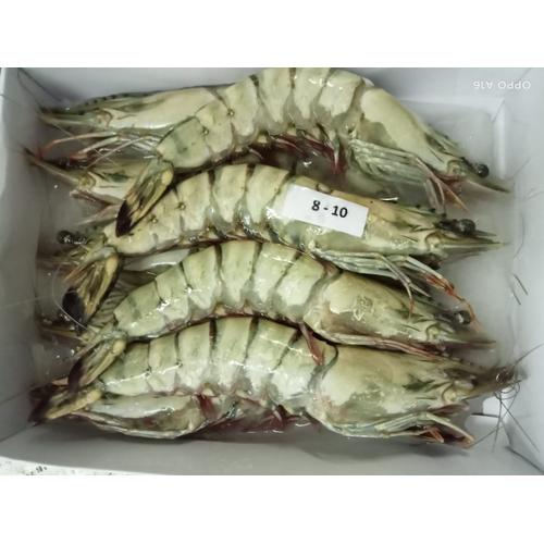 Jual Udang Tiger / Udang pancet / Black Tiger Prawn / Fresh Segar ...