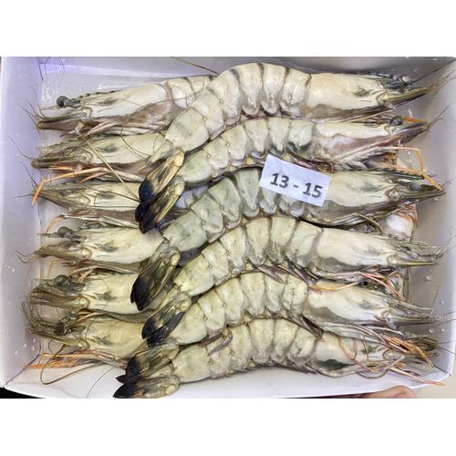 Jual Udang Tiger / Udang pancet / Black Tiger Prawn / Fresh Segar ...