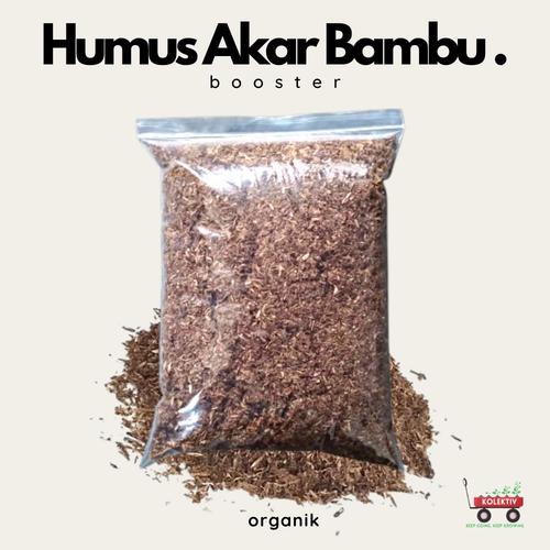 Jual Humus Akar Bambu 1kg Media Tanam SUPER BOOSTER - Humus AkarBambu ...