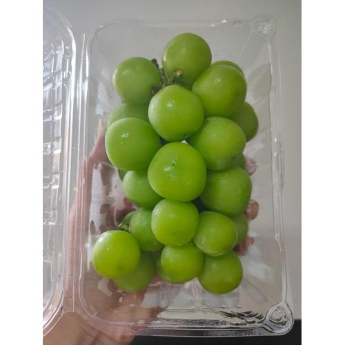 Promo Anggur Hijau Shine Muscat Bibit Jepang Seedless Grapes 1 pack 500 ...